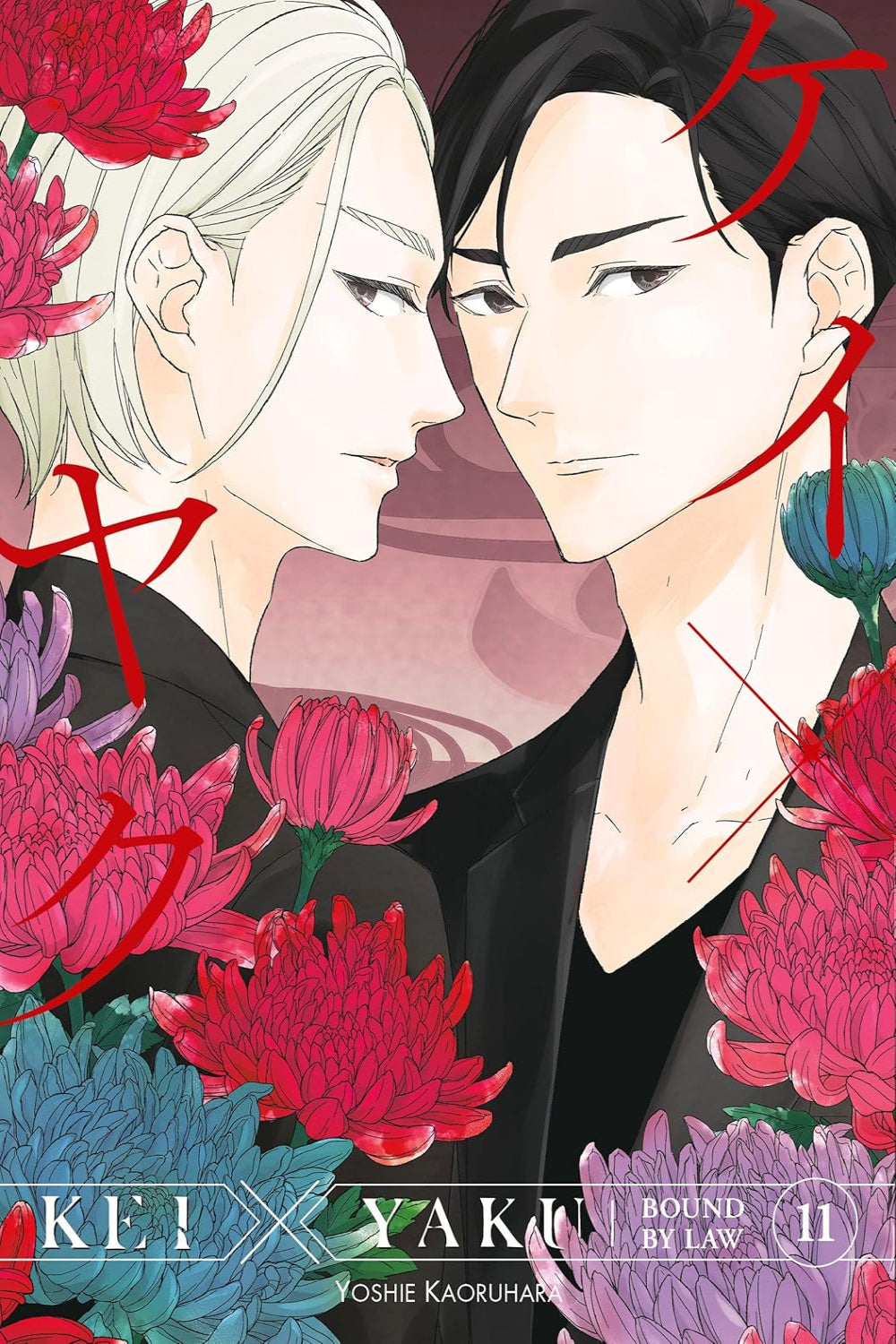 Kei X Yaku: Bound by Law vol 11 – Cosmic Realms